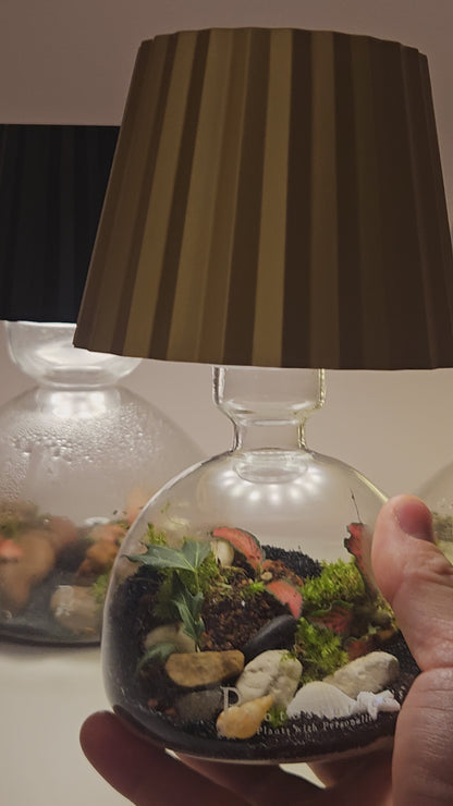 Lamp Terrarium DIY Kit – Photosynthesis Plants