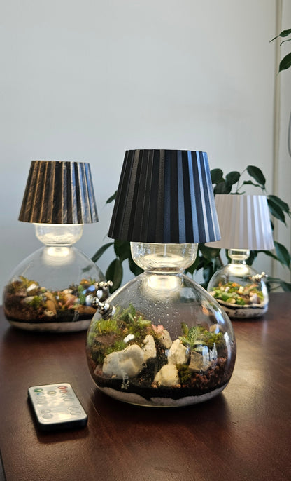 Lamp Terrarium DIY Kit – Photosynthesis Plants